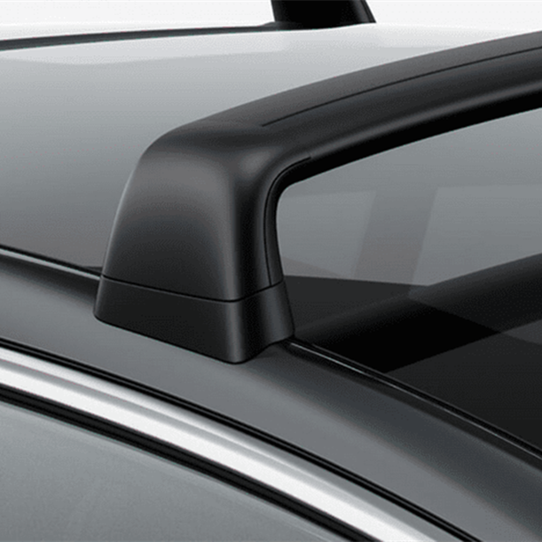 Tesla Model 3/Y Roof Rack